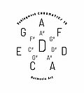 Chromatic D Handpan 15 Notes